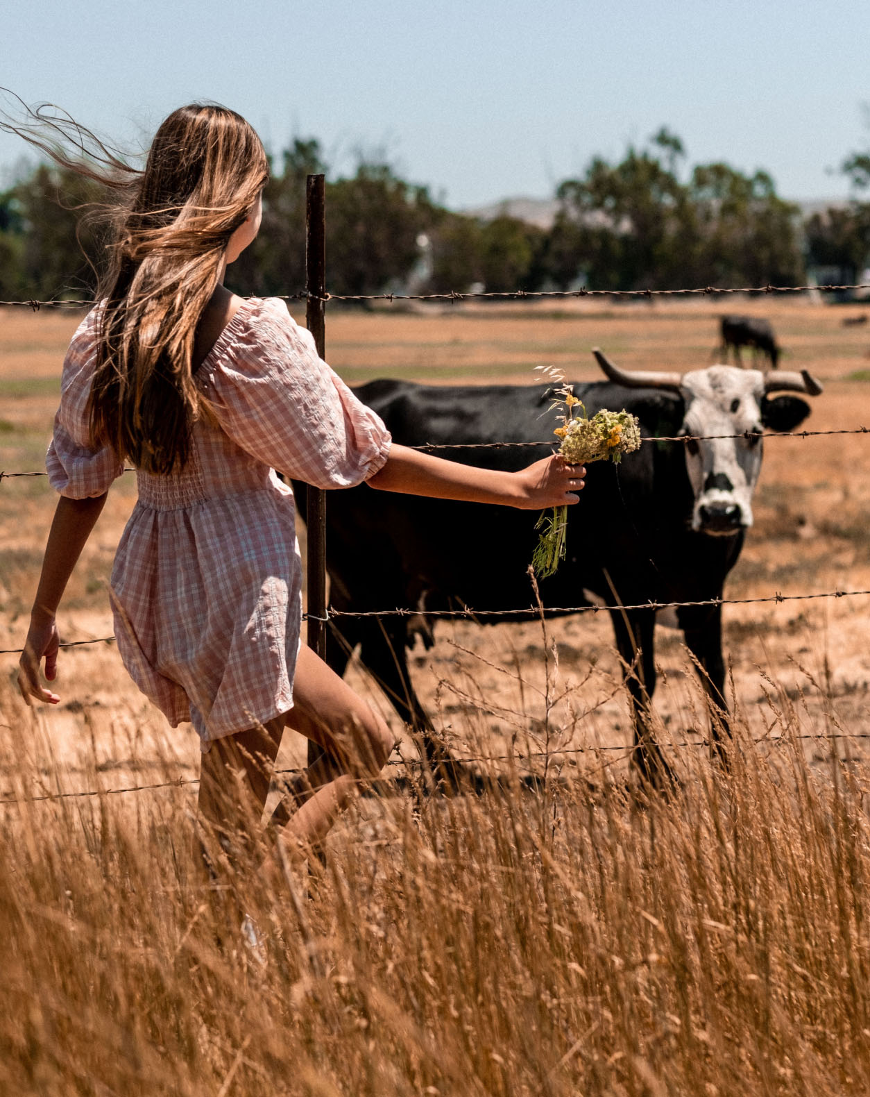 Resort Life in Napa | Sonoma Villas | Auberge Residences
